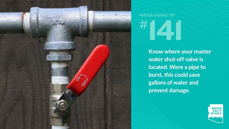 Outdoor Tips Archives - Water Use It Wisely