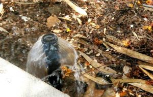 Fixing Common Irrigation Problems For Smart Water Use - Water Use It Wisely