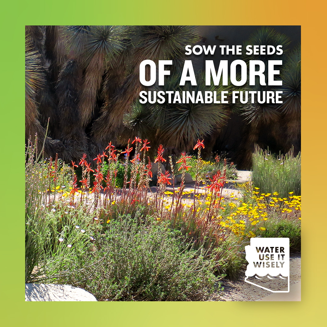 Fall Planting with Water - Plant It Wisely - Water Use It Wisely