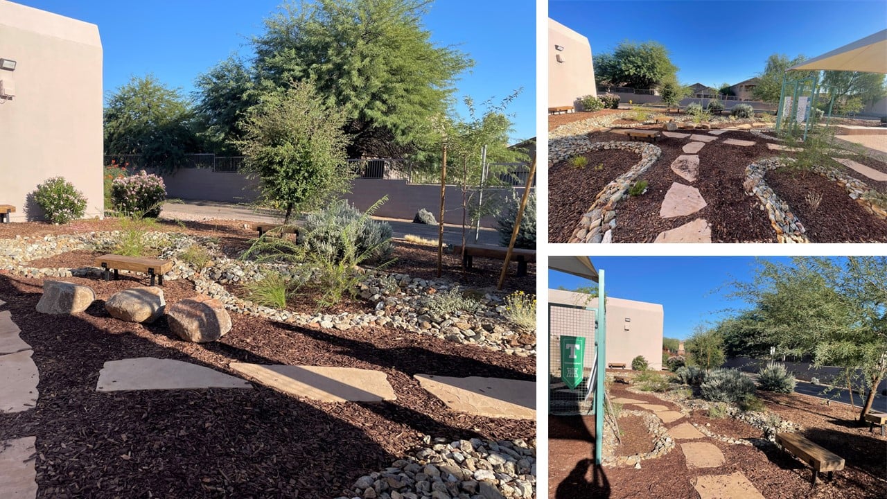 Build a Rain Garden: Nature Based Solutions from Schools to Your Home ...