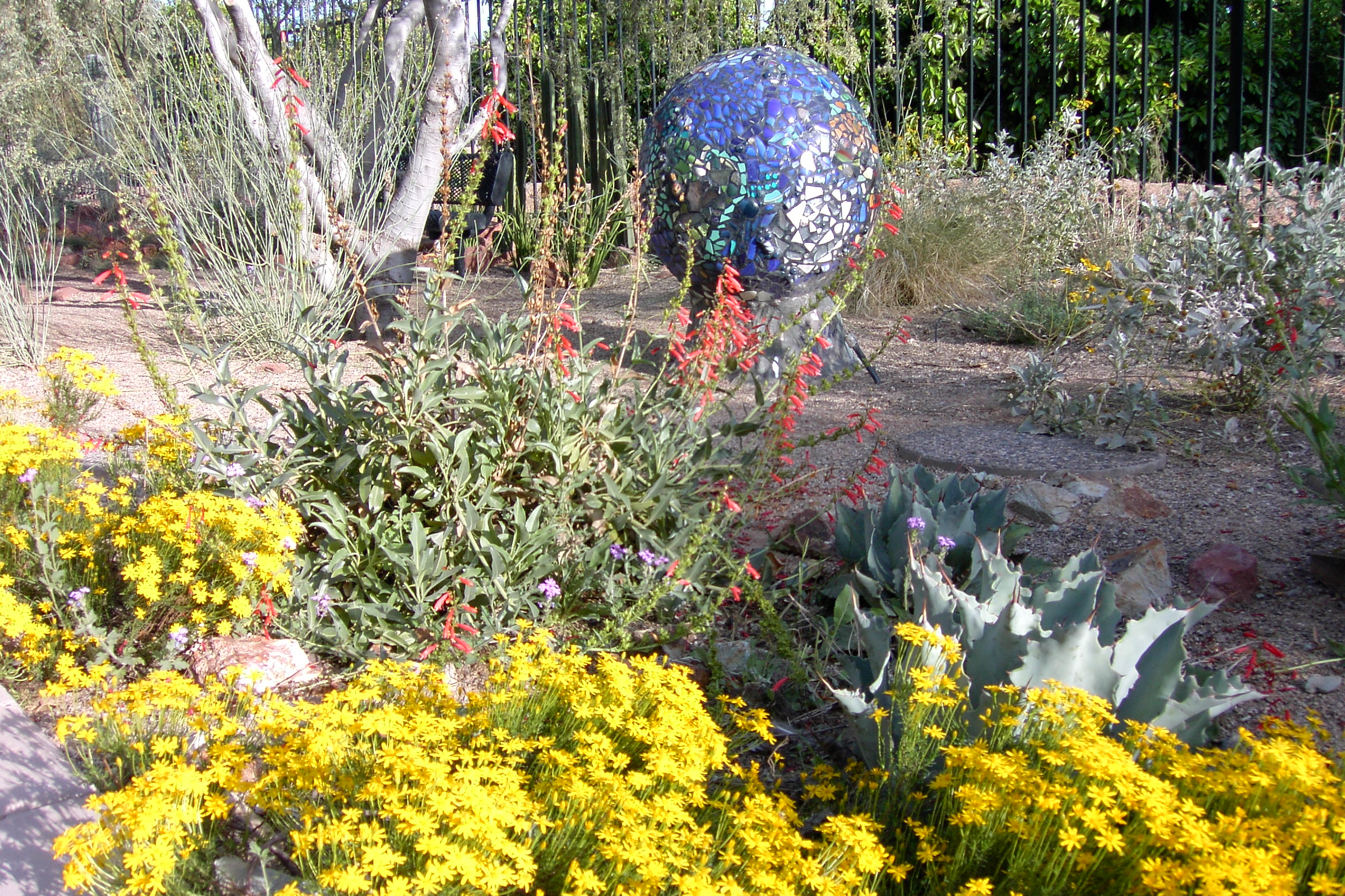Explore Arizona's Xeriscape Demonstration Gardens - Water Use It Wisely